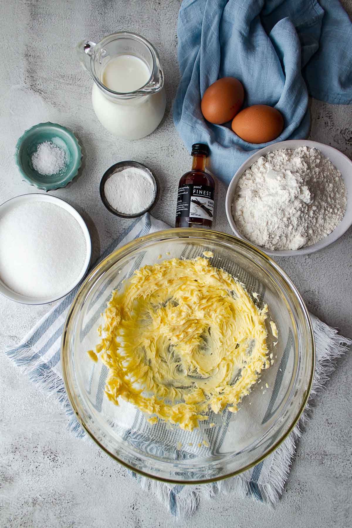 Lamingtons (Ystervarkies) - Salty Ginger