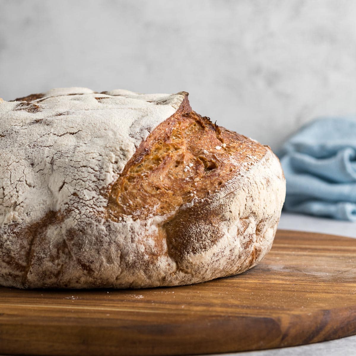 Country Bread - Salty Ginger