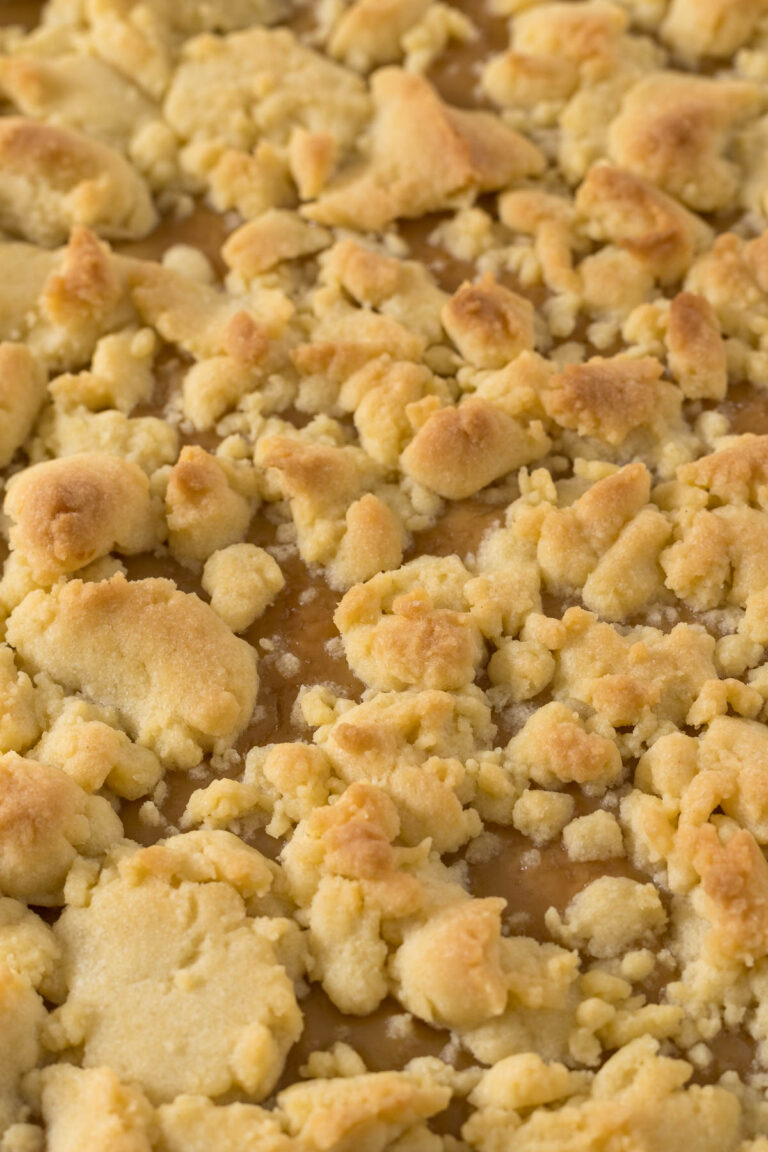 Tan Slice - Salty Ginger