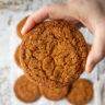 The Best Ginger Biscuits - Salty Ginger