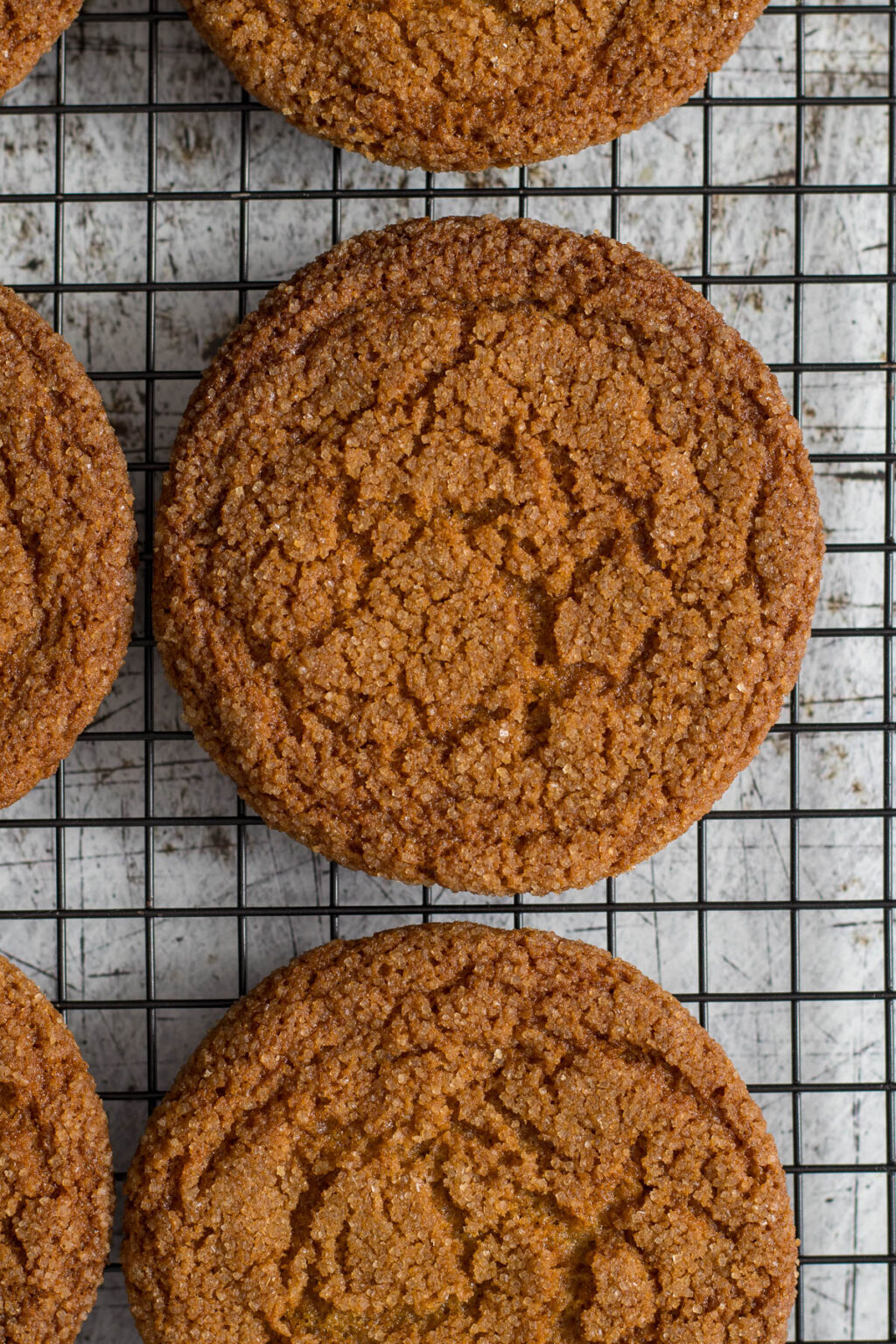 The Best Ginger Biscuits - Salty Ginger
