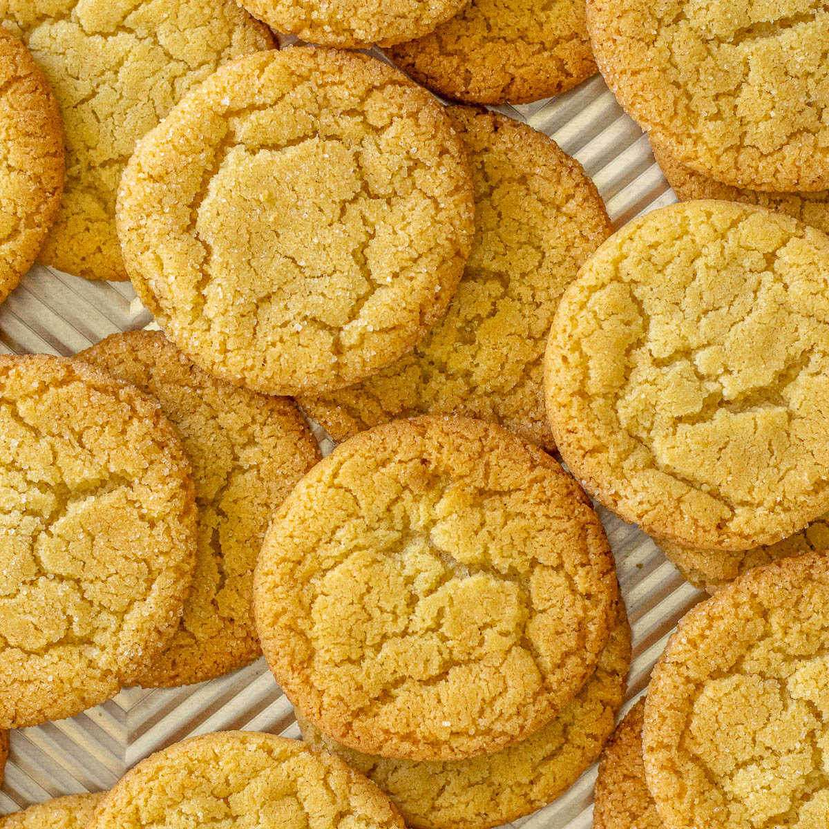 Soft Chewy Vanilla Cookies - Salty Ginger