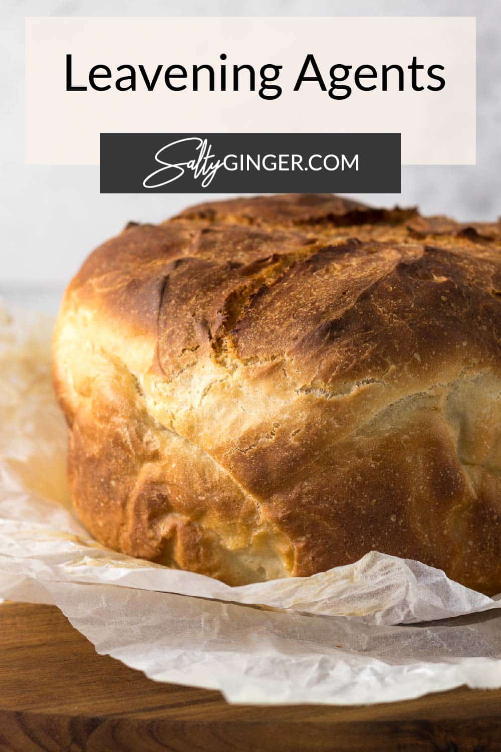 Leavening and Raising Agents - Salty Ginger